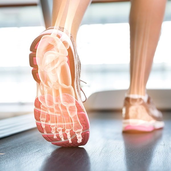Ankle | Sports Bracing Australia
